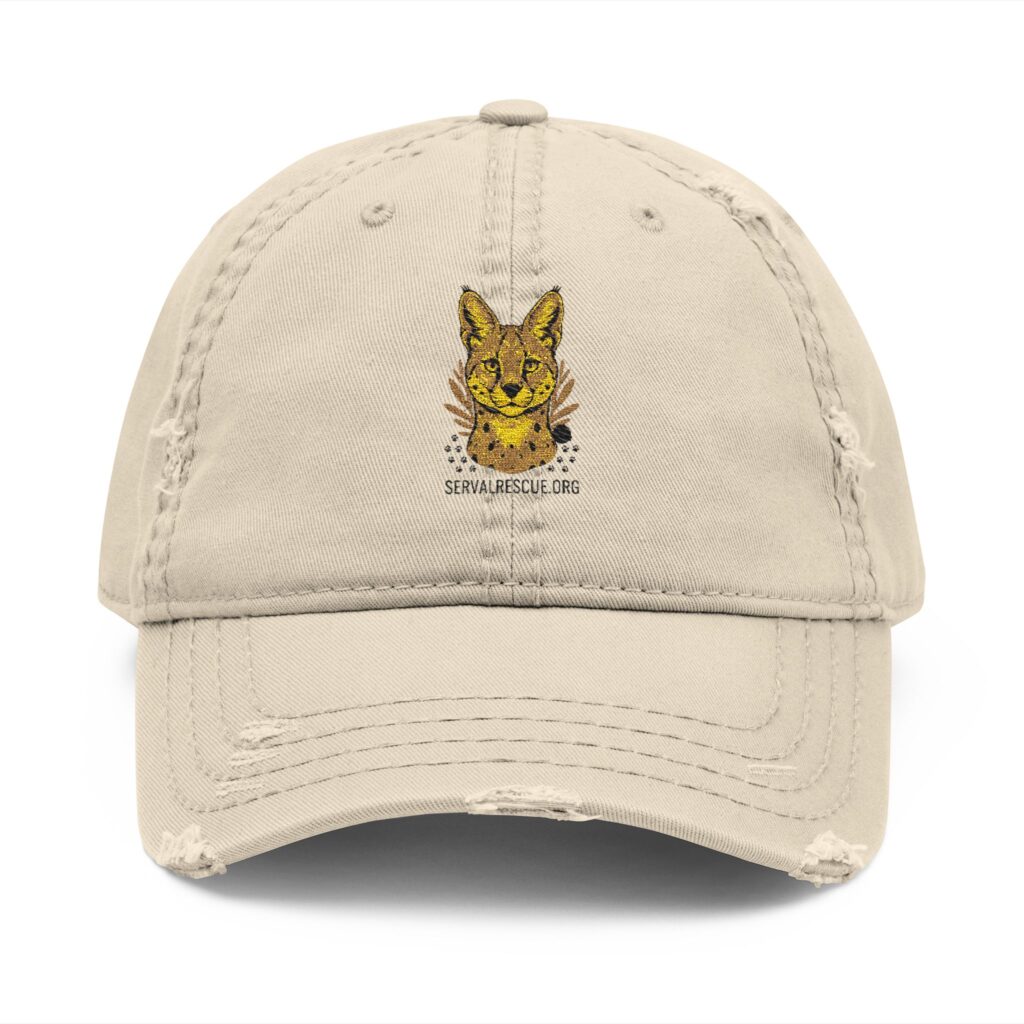 Distressed Embroidered French Bulldog Dad Hat — Vintage Charcoal Cap ...